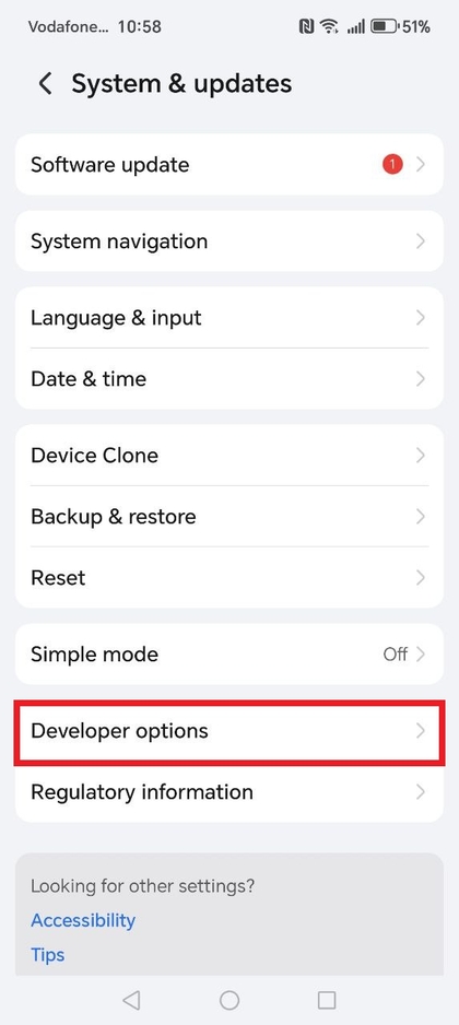HONOR 400 Lite: Enable or Disable Developer Options | ManualsLib