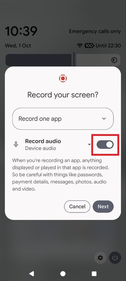 How to Record Your Screen on Google Pixel 10 Pro | ManualsLib