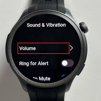 Amazfit Balance: How to Adjust Sound Volume | ManualsLib