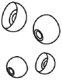 Baseus Encok True Wireless Earphones WM01 Plus Manual | ManualsLib