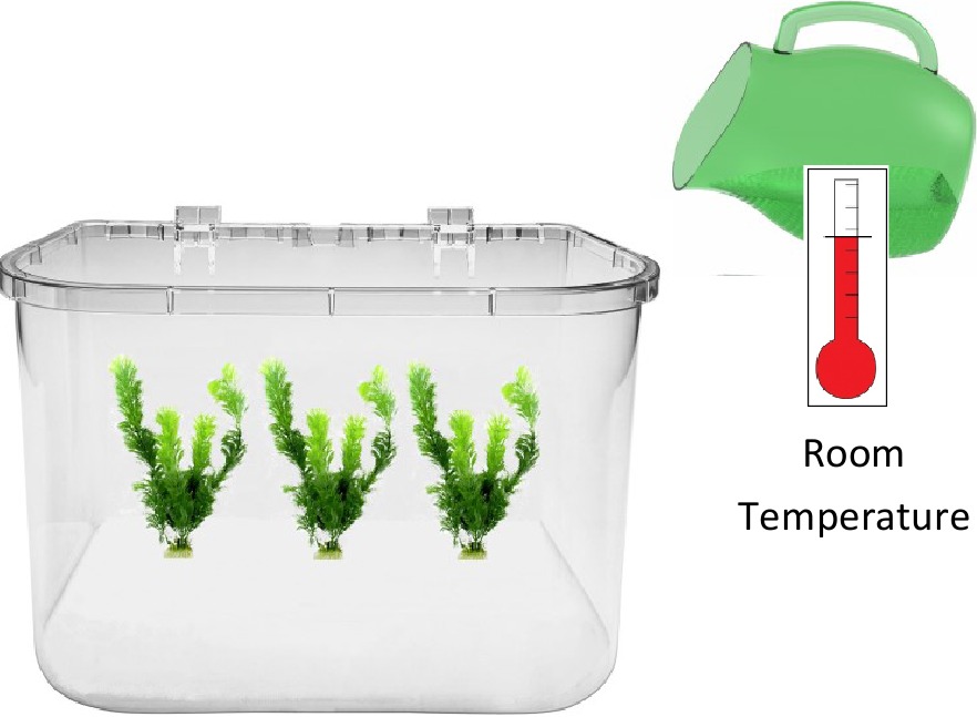 Koller AP15005 - 5 Gallon PanaView Aquarium Manual And Review Video ...